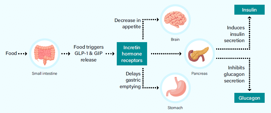 Weight Management with Compounded Tirzepatide 1 - Youly